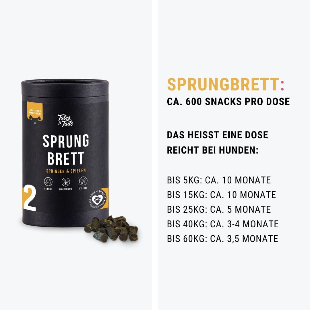 Sprungbrett – Tales & Tails